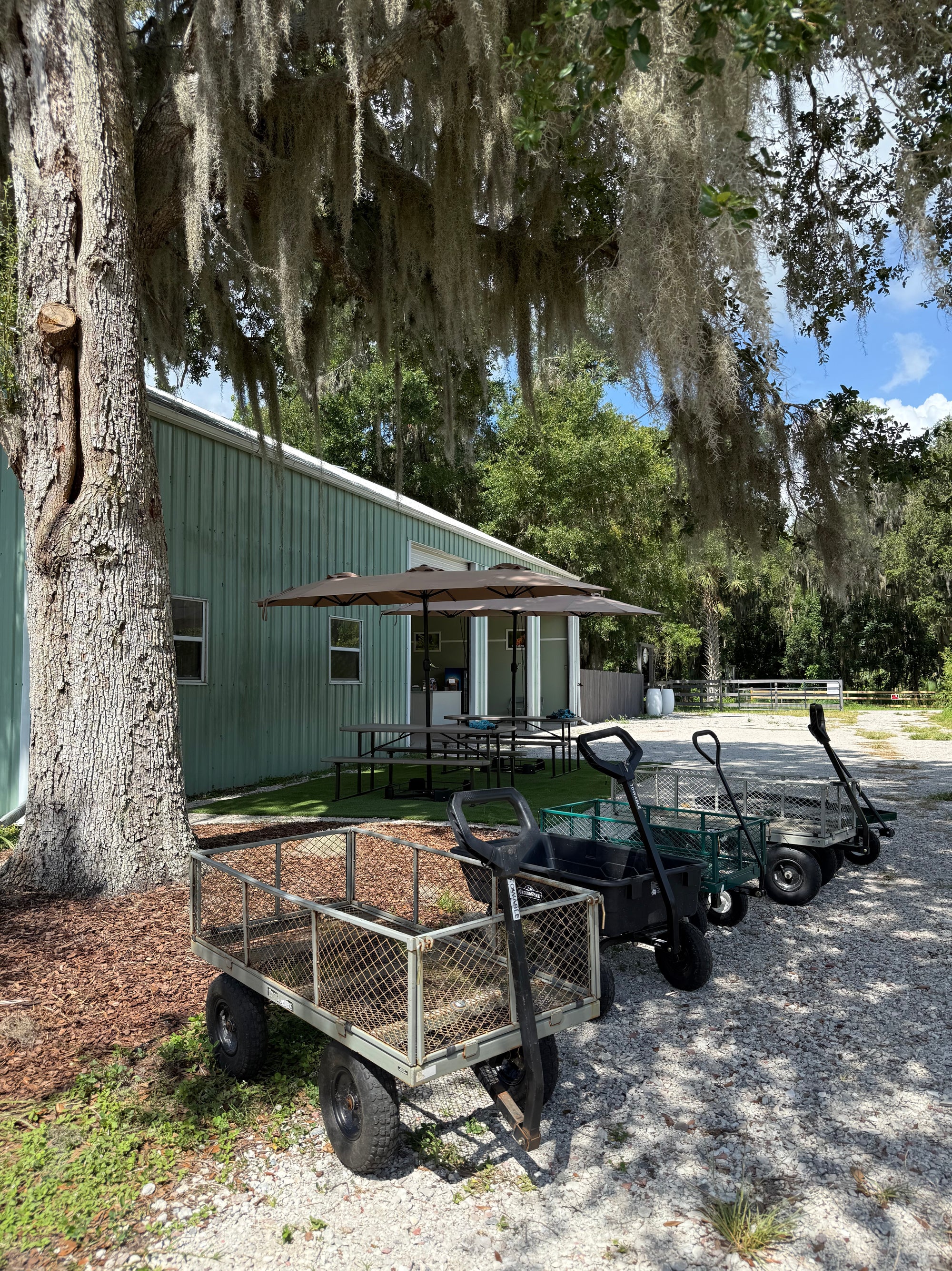 Know Before You Go – Eden of Wings